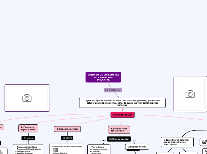 CONTROL PRENATAL - Concept Map